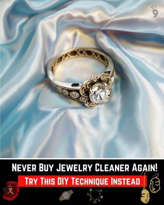 Ultimate DIY Jewelry Cleaner: Save Money and Shine Bright with This ...